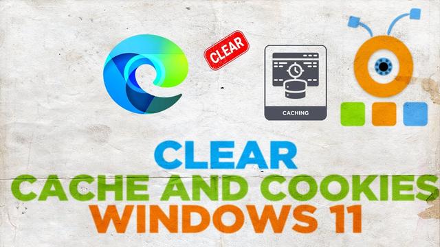 Step-by-Step Guide to Clear Cache of Microsoft Edge on Windows 11