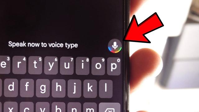 How to Add Offline Languages on Google Pixel 7 (Voice Input Speech)