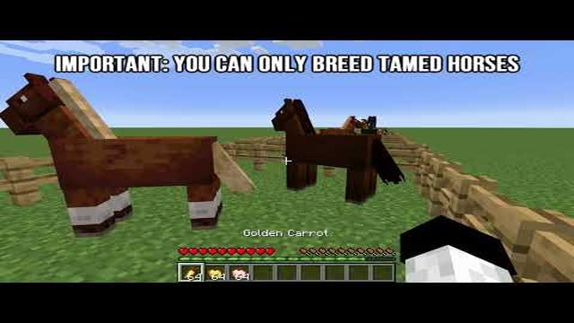 How to breed horses in minecraft? How to minecraft series: how to breed ...