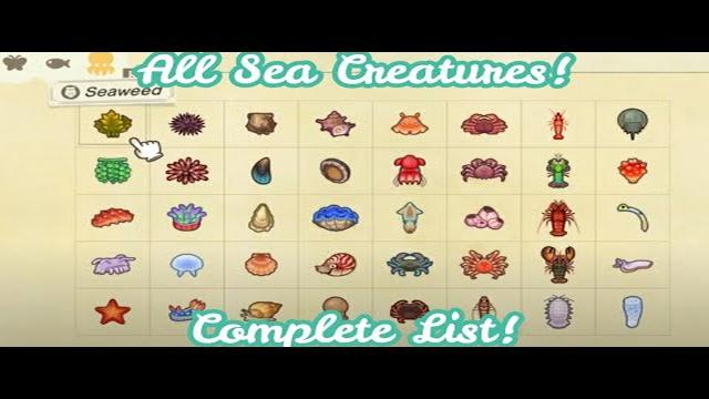 Complete Guide to Every Sea Creature in Animal Crossing New Horizons